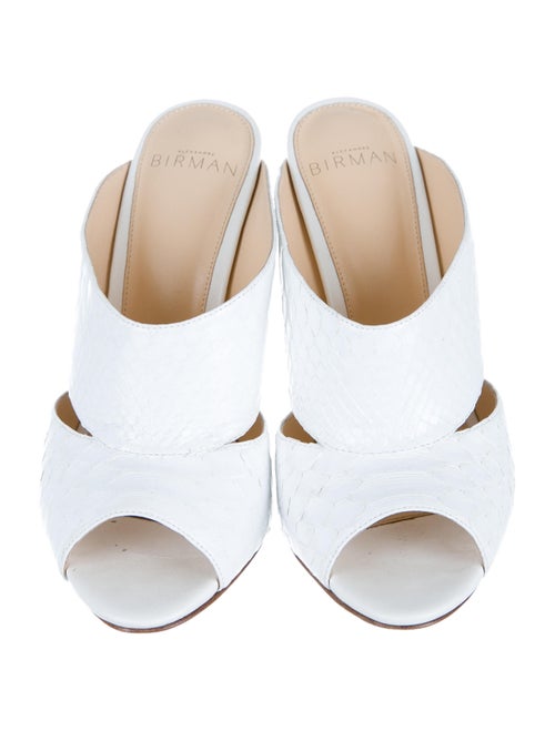 Alexandre Birman Sandals - Shoes - ALR20304 | The RealReal