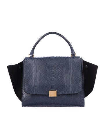 celine python bag | The RealReal