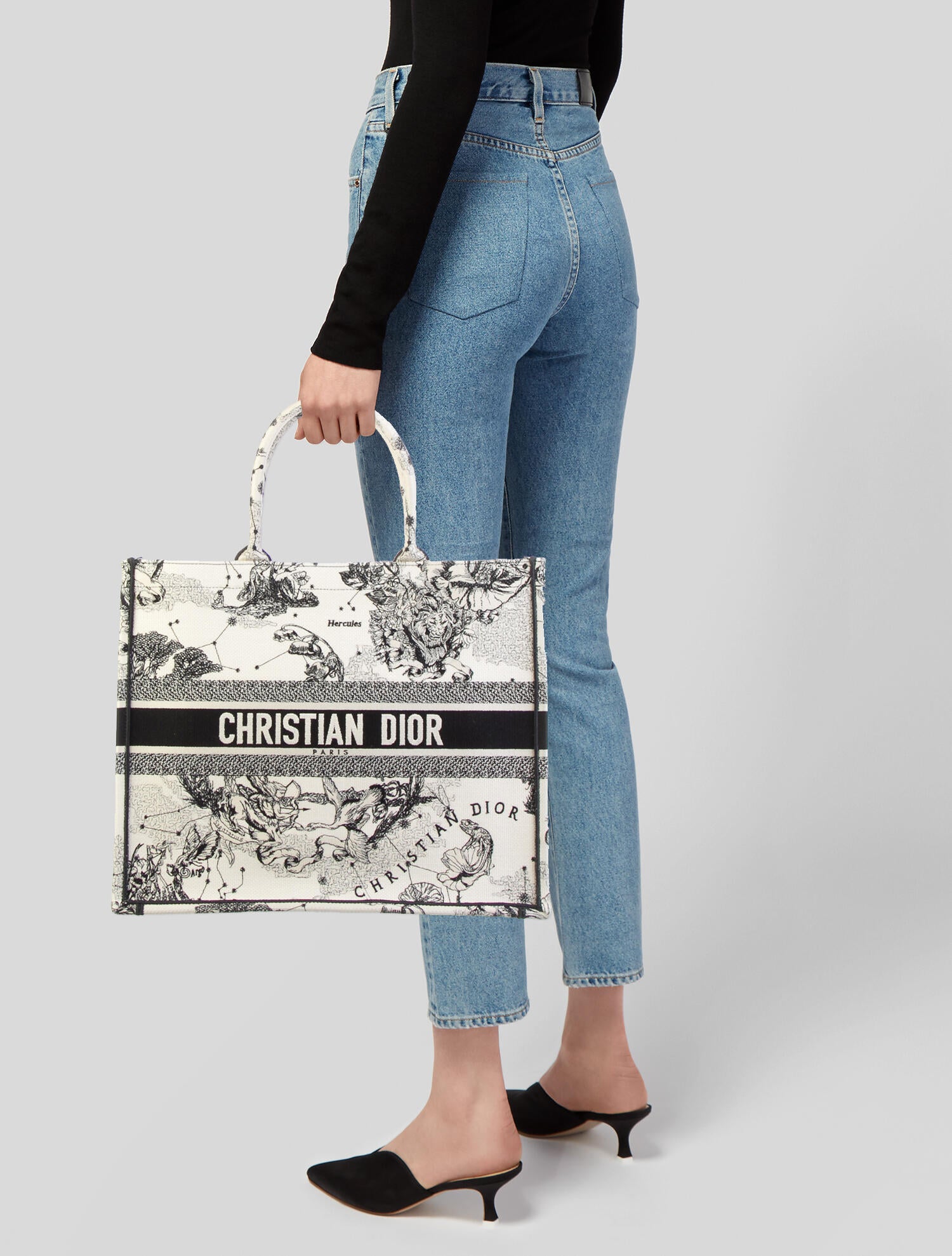 Christian Dior 2022 Large Toile de Jouy Zodiac Book Tote w/ Tags ...