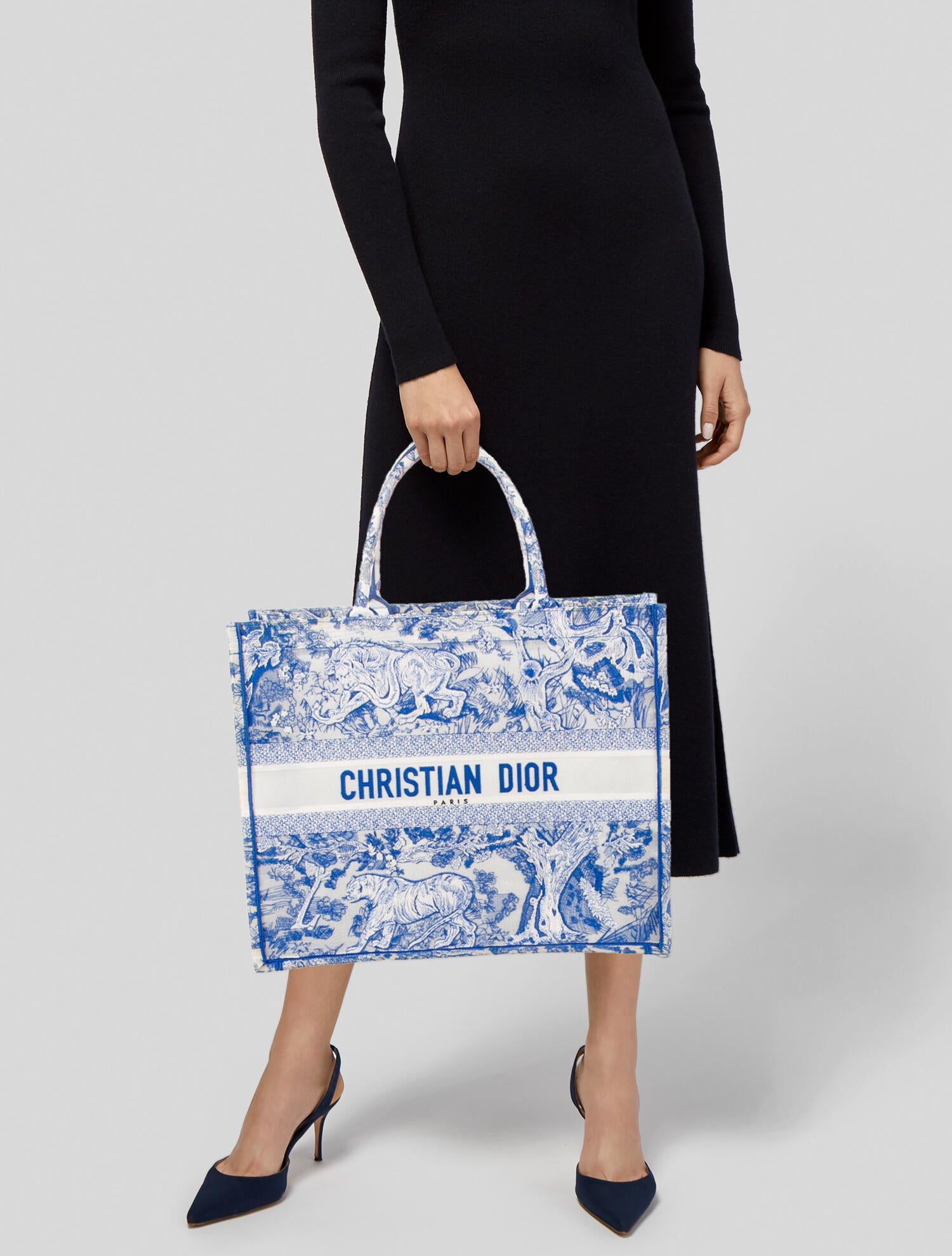 Christian Dior 2022 Dioriviera Toile De Jouy Book Tote - Blue Totes ...