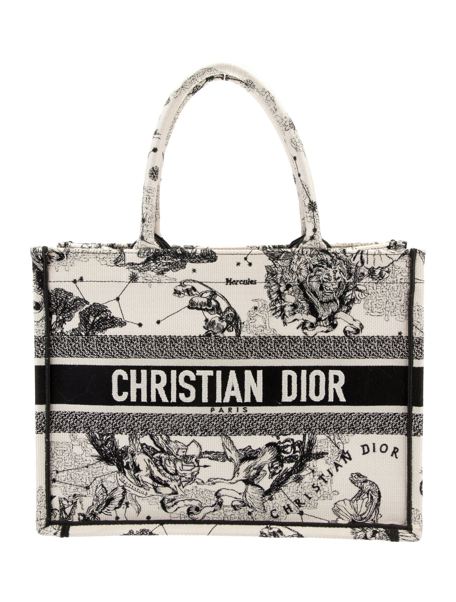 Christian Dior Book Tote | The RealReal