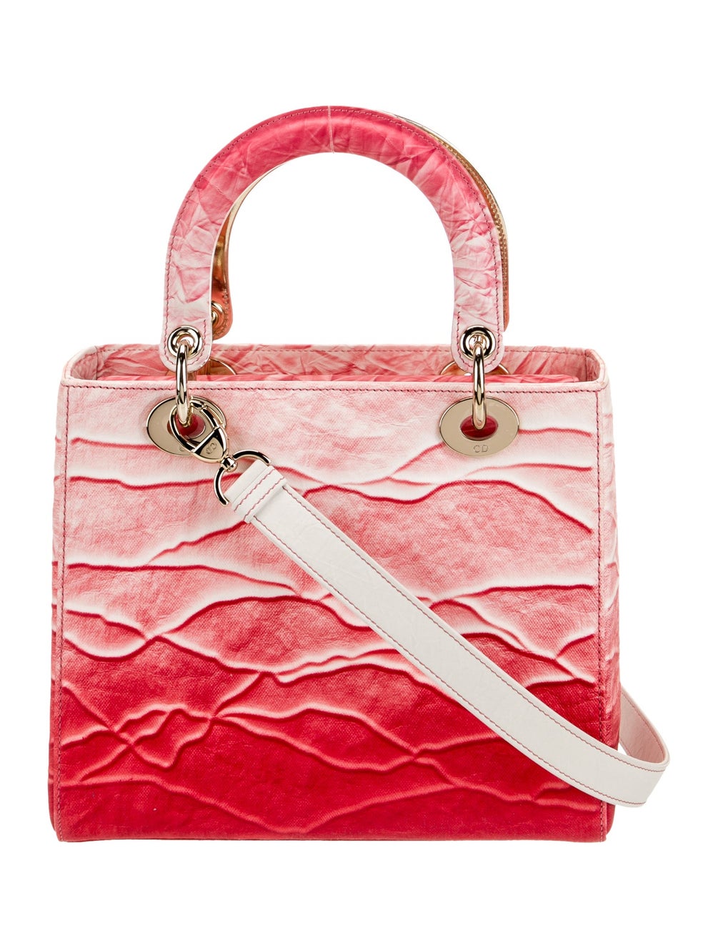 Christian Dior Canvas Lady Dior 2022 - Red Handle Bags, Handbags - CHR547189 | The RealReal