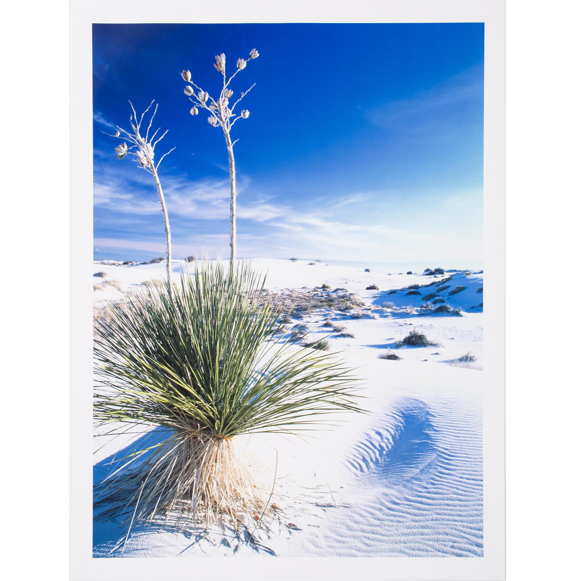 David Altschul Landscape #9 - Blue - PHO21989 | The RealReal