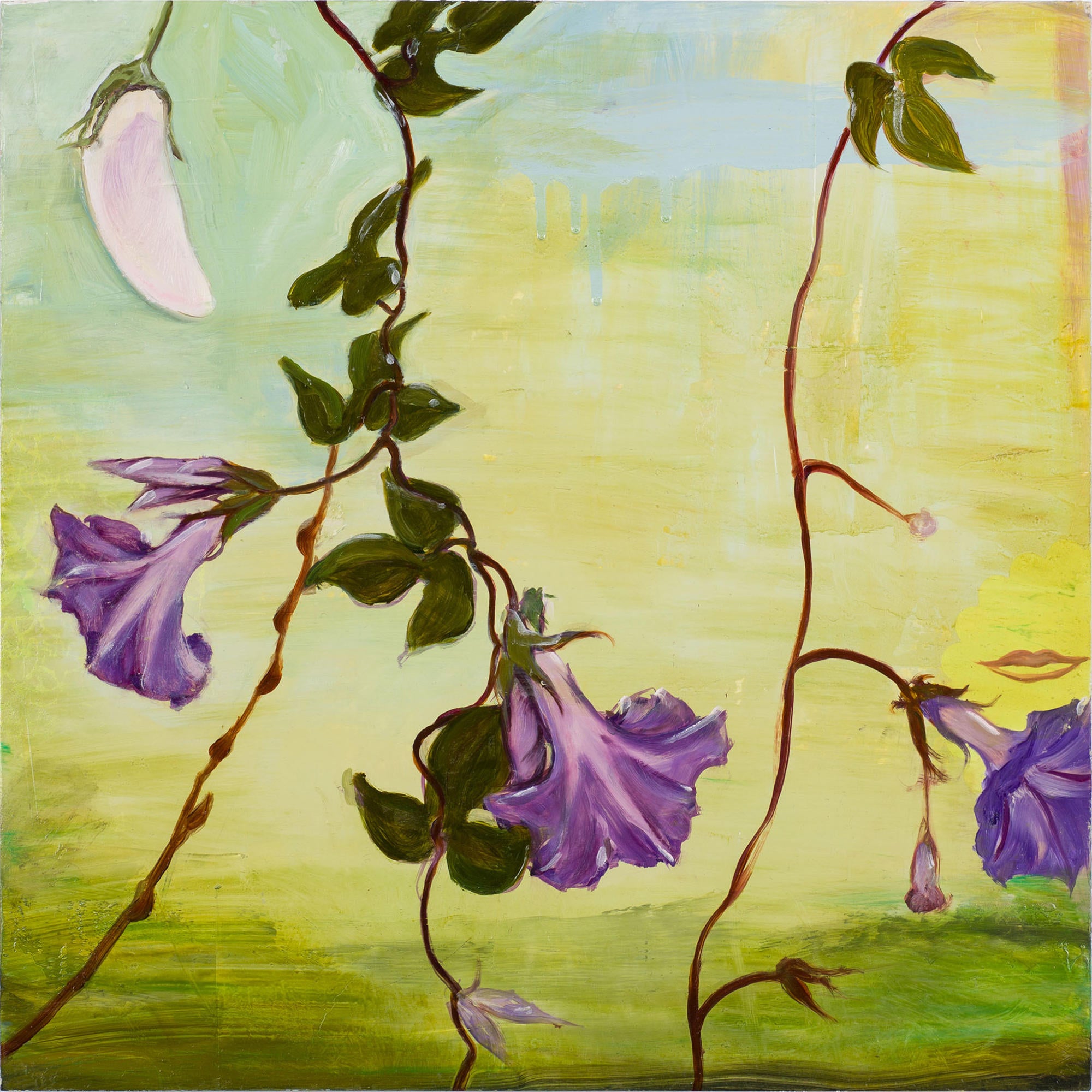 Kathryn Kain Morning Glory and Rosa Bianca - Green - PNT10187 | The ...